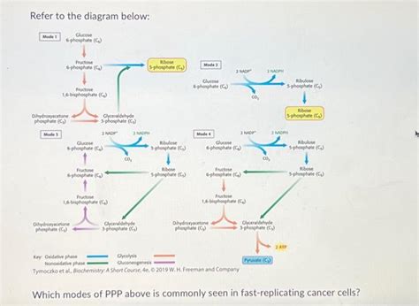 Solved Refer To The Diagram Below Which Modes Of Ppp Above