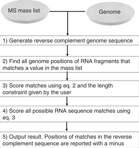 Bioinformatics Strategy For Identifying The Genetic Origin Of An RNA Download Scientific