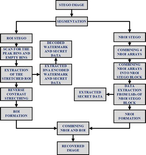 Block Diagram Of Extraction Algorithm Download Scientific Diagram