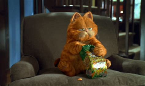 Garfield The Movie Dvd