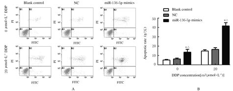 Mirna 138 5p靶向抑制hif 1α表达对乳腺癌mcf 7细胞顺铂耐药的逆转作用及其机制