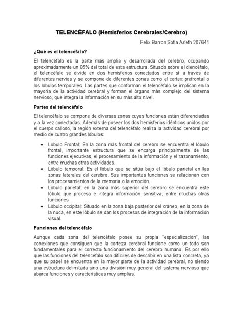 TelencÉfalo Descargar Gratis Pdf Cerebro Sistema Nervioso Central