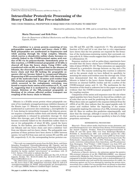 Pdf Intracellular Proteolytic Processing Of The Heavy Chain Of Rat