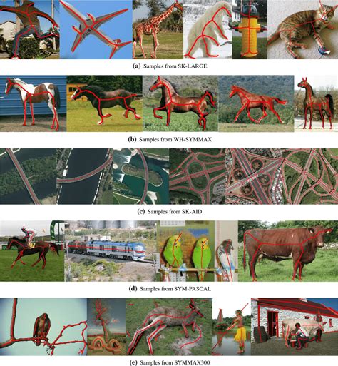 example images selected from different datasets and their