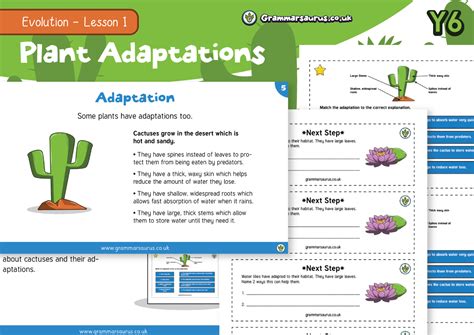 Year 6 Science Evolution And Inheritance Lesson 1 Grammarsaurus