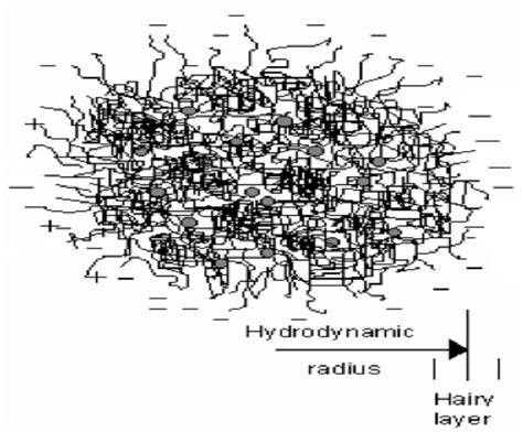 Figure 10 From Casein Micelle Structure A Concise Review Semantic Scholar