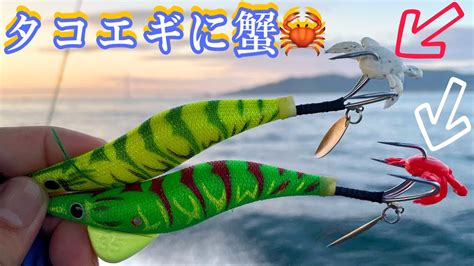明石タコ釣りタコエギに蟹を付けて釣果は上がるのかマルキューパワークラブ YouTube