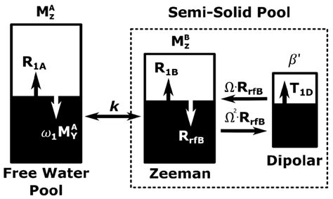 Figure S 1 Illustration Of The Two Pool Model With Dipolar Order Download Scientific Diagram