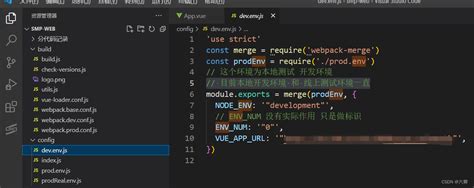 vue配置webpack生产环境 env production、测试环境 env development 配置不同环境的打包访问地址 vue打包部署生产和测试环境 csdn博客