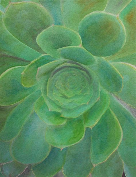 Esalen Aeonium M E C R E A T E S
