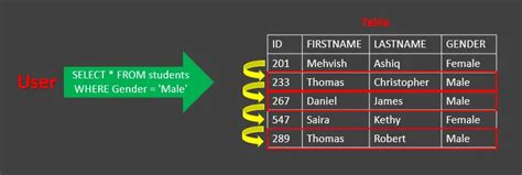 Mostrar Ndices Para Tabla O Base De Datos En Mysql Delft Stack