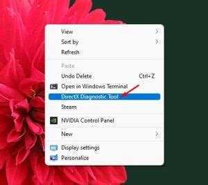 How To Open DirectX Diagnostic Tool On Windows Methods