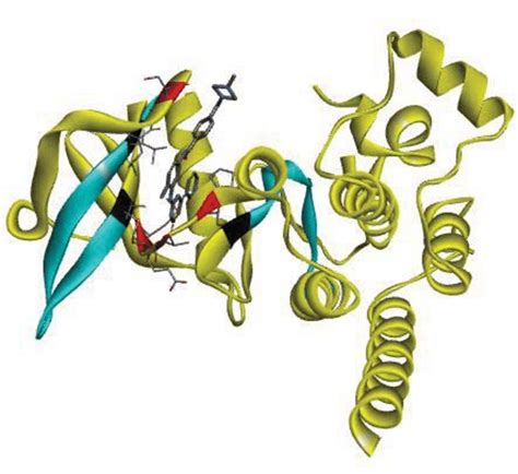 The Complex Of Imatinib And Tyrosine Protein Kinase Syk Pdb Id 1xbb