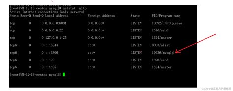 【mysql数据库】 初识数据库以及mysql数据库在linux云服务器下载（详细教程） liunx下载mysql教程 csdn博客