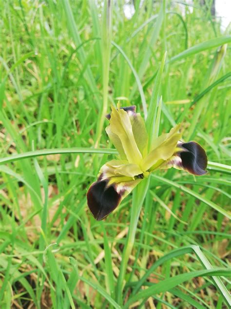 Tuscan Trail Tours Added A New Photo Tuscan Trail Tours