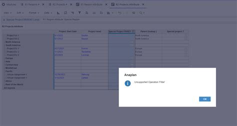Synchronized Selection Issue — Anaplan Community