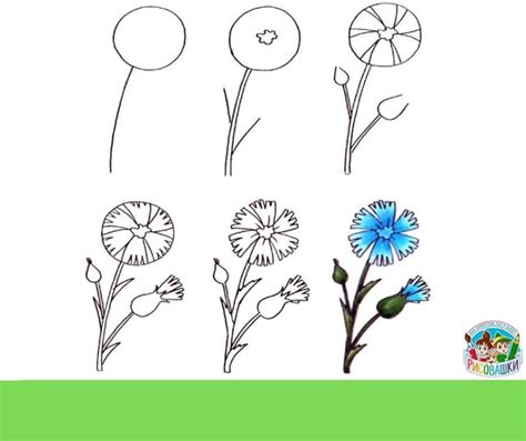 Как нарисовать цветы