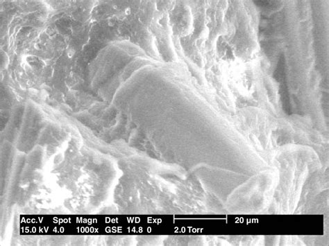 Fracture Surface Of Flax Fibre Reinforced Pp Epdm Composites With