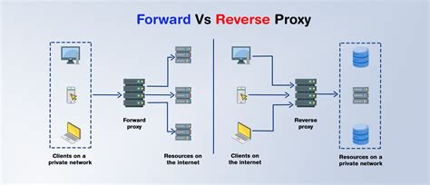 Forward Proxy Vs Reverse Proxy Differences And Uses 2024