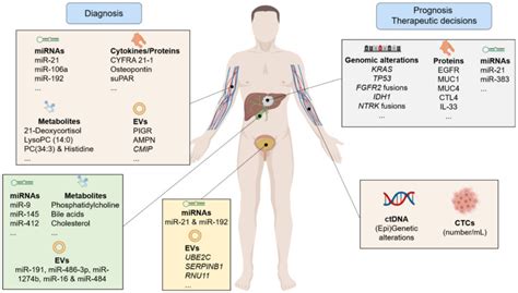 Next Generation Biomarkers For Cholangiocarcinoma Pmc