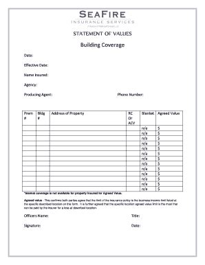 Statement Of Values Insurance Excel Template Fill Online Printable Fillable Blank PdfFiller