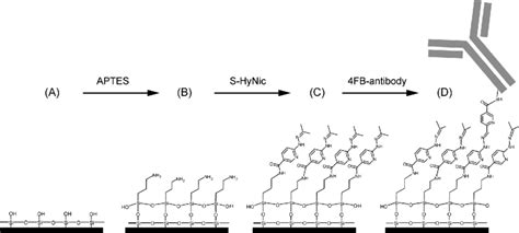 Representative Example For Surface Functionalization A Silicon Download Scientific Diagram