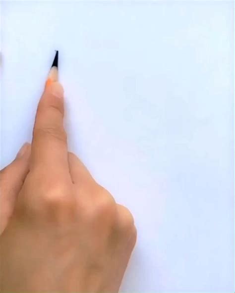 How To Draw Beautiful Honey Bee Crazy Stone Art How To Draw Video In Flower Drawing