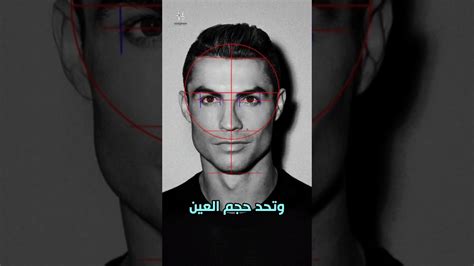 نسب رسم وجة كريستيانو رونالدو Youtube