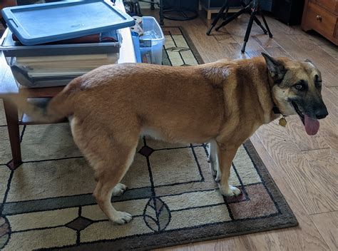 I Did Not Do Whatever You Think I Did Album On Imgur