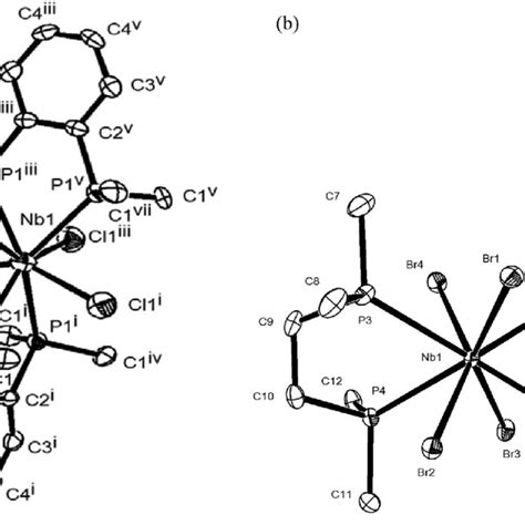 A The Structure Of [nbcl 4 {o C 6 H 4 Pme 2 2 } 2 ] Showing The Download Scientific