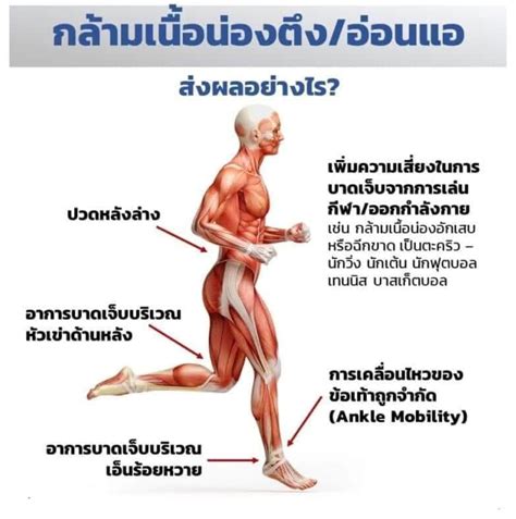กล้ามเนื้อน่อง ส่งผลกับเข่า เชียงรายกายภาพบำบัด คลินิก
