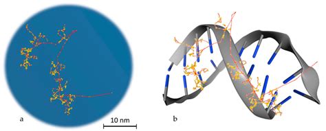 Particle Transport Example A Track Structure Of An Electron 10 KeV Download Scientific