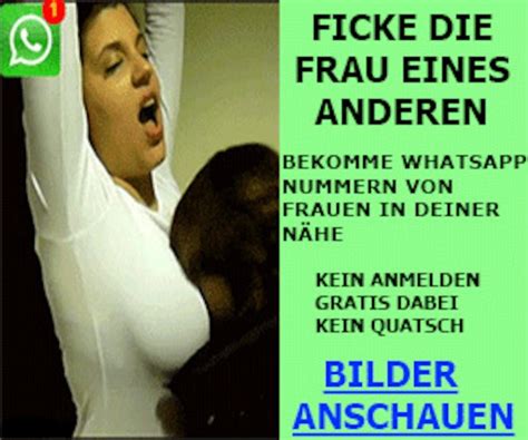 Where Can I Find This Video No Name 26529 ›