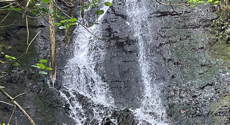 Likelike Falls 2026 All You Must Know Before You Go W Reviews