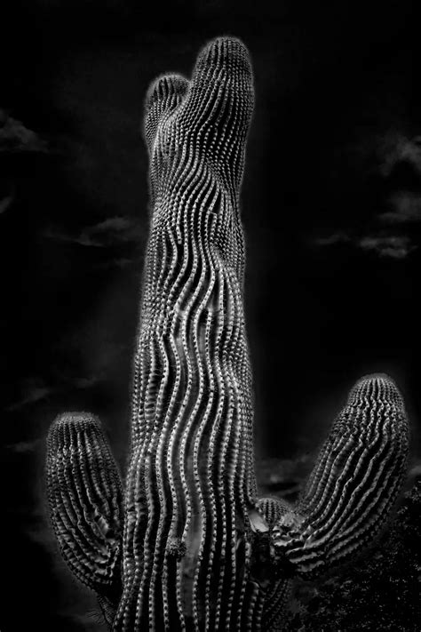 Lev L Spiro Photographer All About Photo