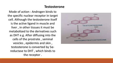 Insulin And Sex Hormones Rushi Pptx