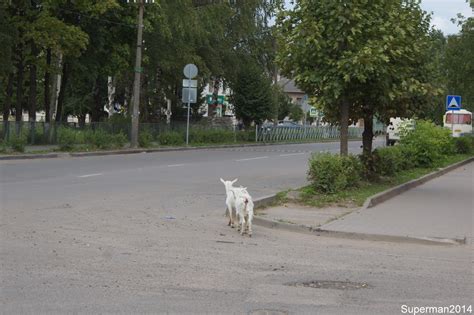 Порхов: ru_travel — LiveJournal