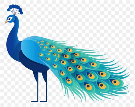 Cartoon Peecock Clipart Images Free Photos Png Stickers Wallpapers