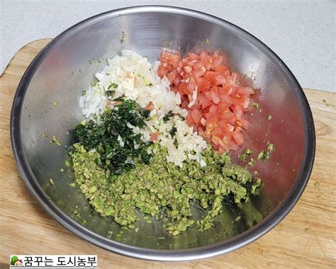 아보카도 과카몰리