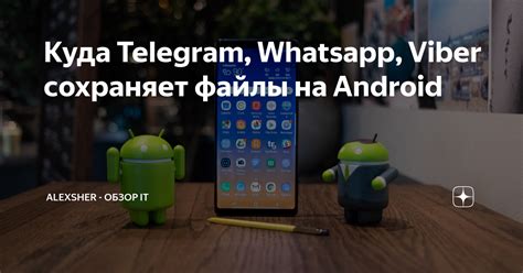 Куда Telegram Whatsapp Viber сохраняет файлы на Android Алексей Про It Дзен