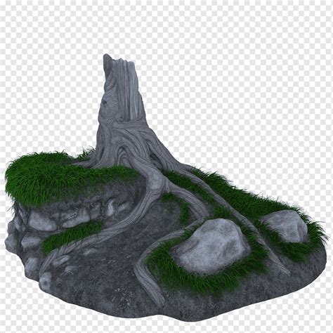 Tree Trunk Rocks Stump Forest Grass Dirt Landscape Green Wood Hiking Png PNGWing
