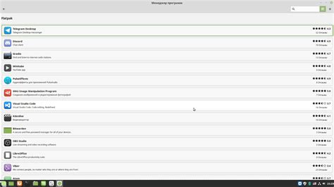Linux для новичков знакомимся с Linux Mint 19 Часть 2 как настроить Мастерская