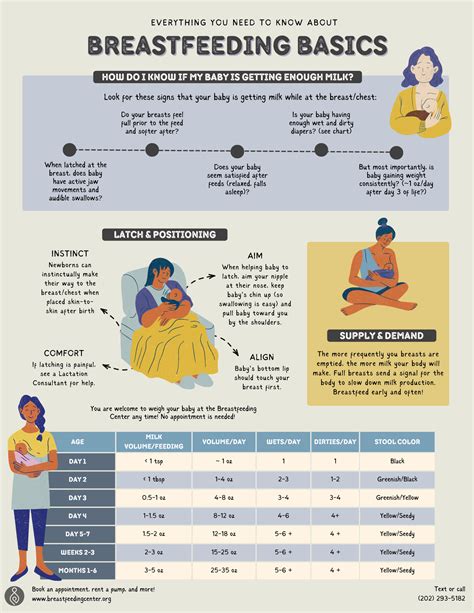 Breastfeeding Basics Artofit