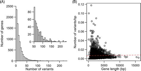 Summary Of Variants Identified Among All Strains A The Number Of