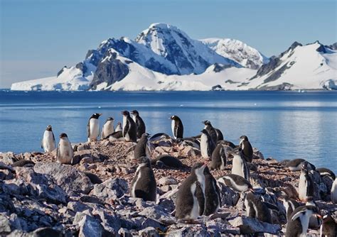 Linz Lands And Survey Surveying Projects In Antarctica 1970s Present