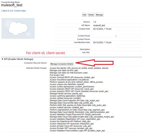 Mulesoft How To Authenticate Salesforce Using Oauth20