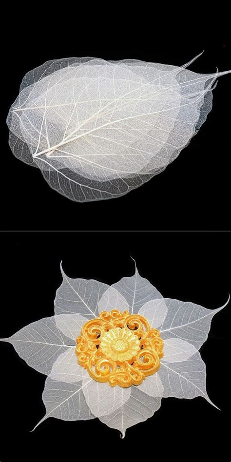 天然菩提叶脉工艺贴画叶子材料书画用叶片菩提叶标本书签押花画 阿里巴巴