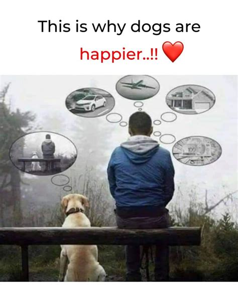 manya gupta on linkedin linkedin quotesandsayings thoughts behappy