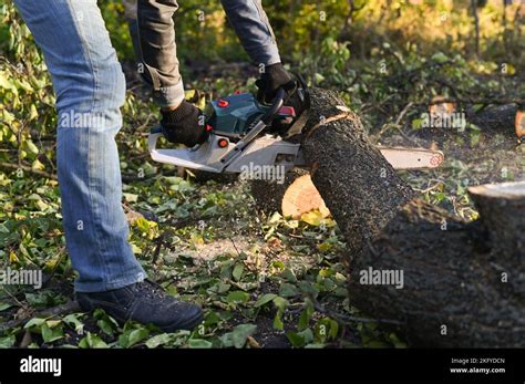 Chainsaw Cutting Wood A Man Cutting A Tree With A Chainsaw Sawdust Flying To The Sides Stock