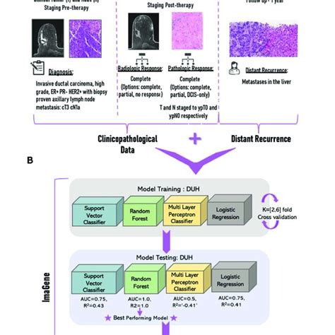 Modeling Clinicopathological Data To Predict Distant Recurrences In Download Scientific Diagram